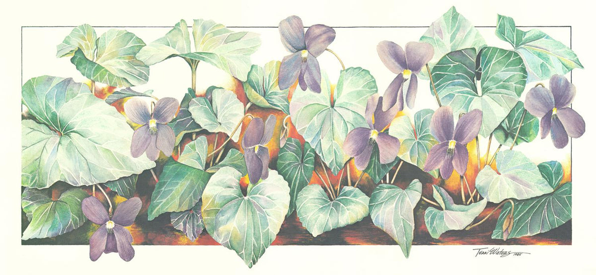 Violet Fantasy - Watercolor – Terri Waters Gallery
